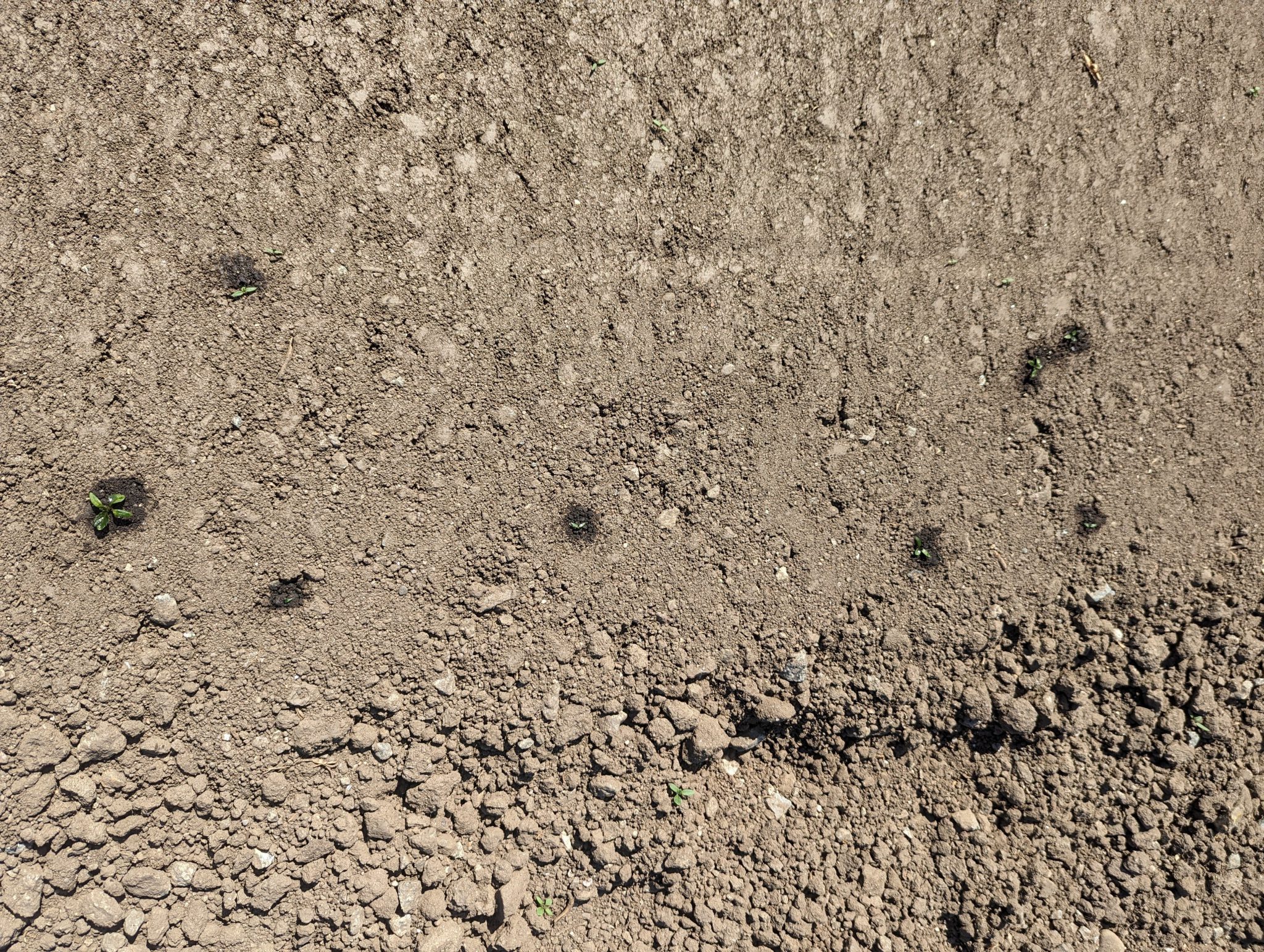 Tensorfield V3 “Jetty” robot shows significant spray improvements over ...